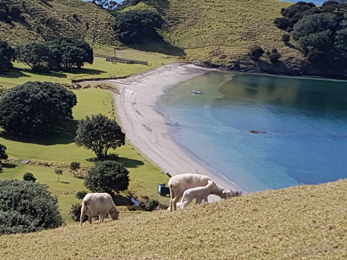 Urupukapuka Island, cruising ground, Bay of Islands, New Zealand