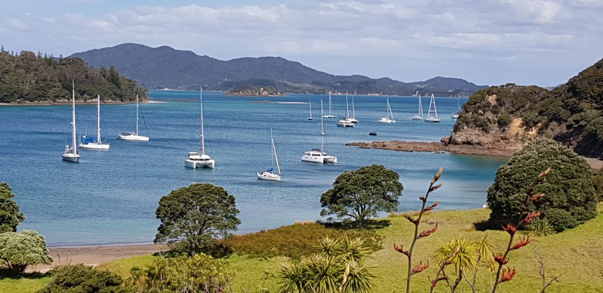 Moturua Island, cruising ground, Bay of Islands, New Zealand